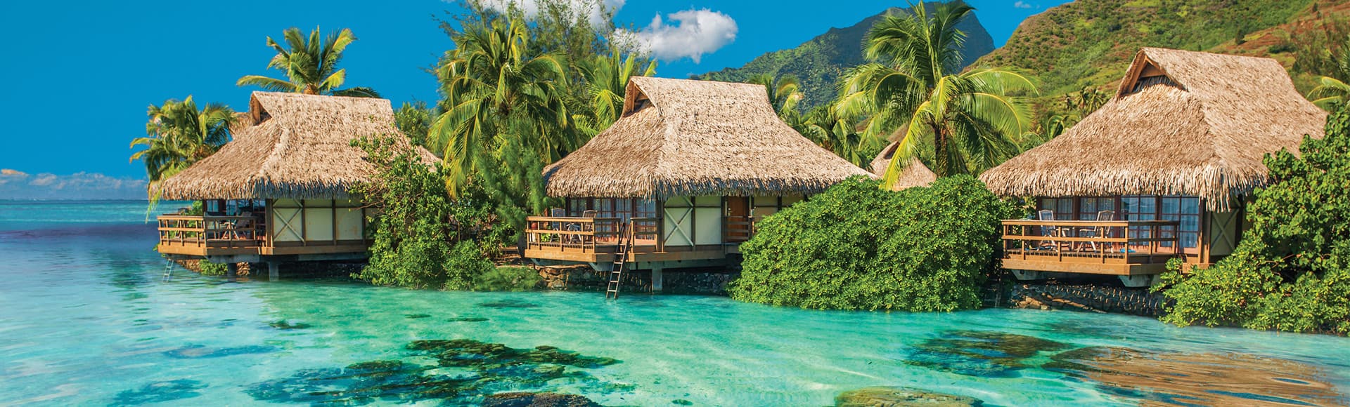 Award-Winning Luxury Cruise Vacations - Oceania Cruises